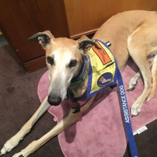 Functional Neurological Disorder Recovery | FNDAus.org.au | FND ...